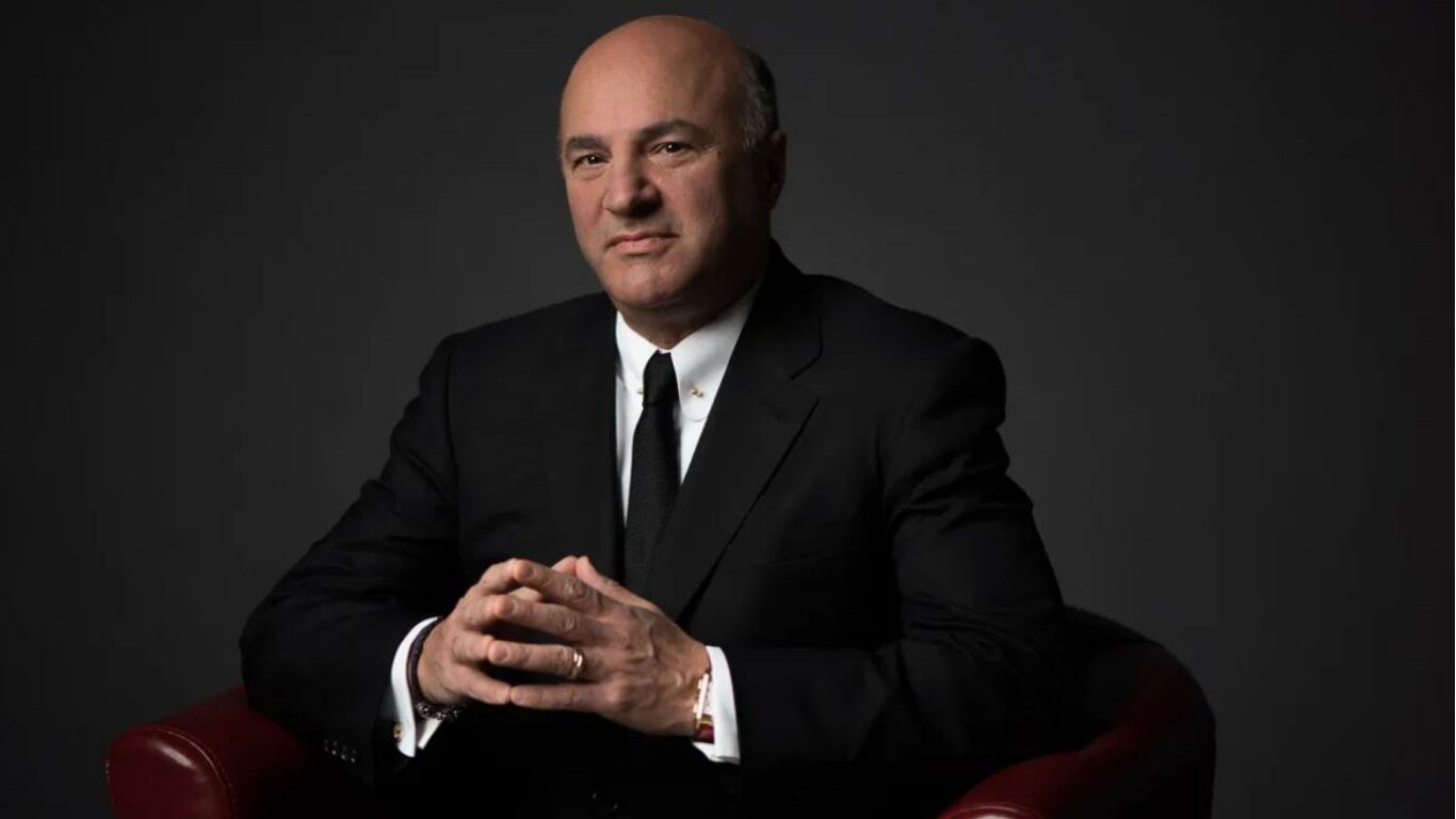 Exploring Hoppy Paws: Shark Tank Success, Net Worth Insights, and ...